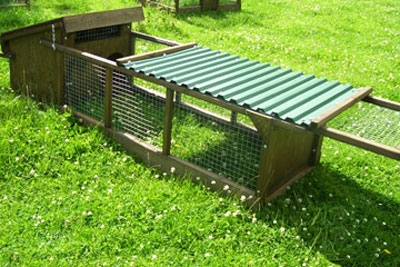 Broody Coop Hen House.